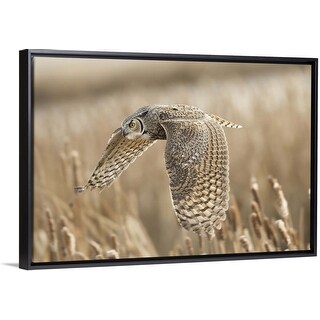 "Great Horned Owl" Black Float Frame Canvas Art - Bed Bath & Beyond ...
