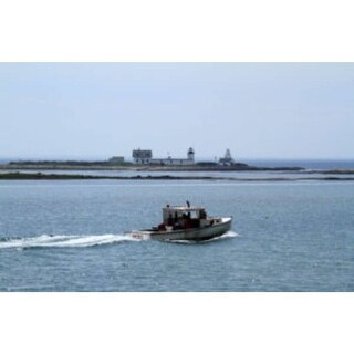 USCGC Cape Porpoise (WPB-95327) 30 Inches L Ship Model - Bed Bath ...