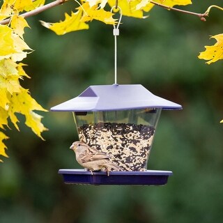 Funnel bird feeder - Bed Bath & Beyond - 37533154