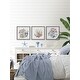 Marine Life Display Triptych - Bed Bath & Beyond - 36273104