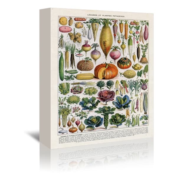 Americanflat - Legumes Et Plantes Potageres Vintage Art Print by ...
