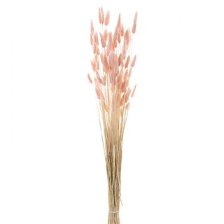 Pink Bunny Tail Bundle Faux Plants And Trees - Bed Bath & Beyond - 42138969