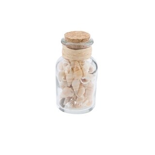 Bottle with Natural Shells - Bed Bath & Beyond - 39577215