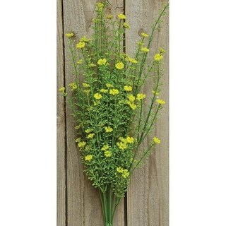 Yellow Astilbe Bush, 20" - As Pictured - Bed Bath & Beyond - 28271047