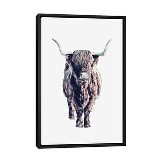 iCanvas "Highland Cattle Colin White" by Monika Strigel Framed - Bed ...