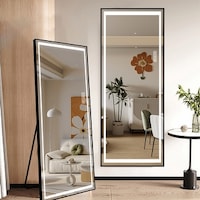 64" x 21" Full Length Mirror Floor Mirror with LED Lights - Bed Bath ...