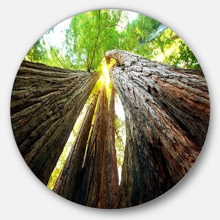 Designart 'Sequoia Tree' Photography Disc Metal Wall Art - Bed Bath ...