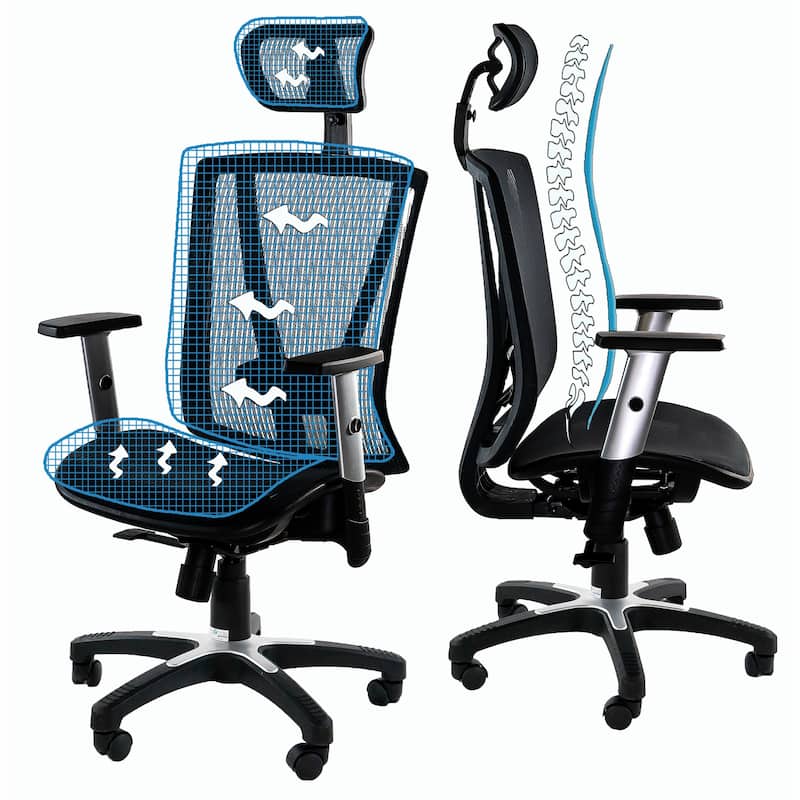 Ergomax Fully Meshed Blue Ergo Office Chair with Headrest - Overstock ...