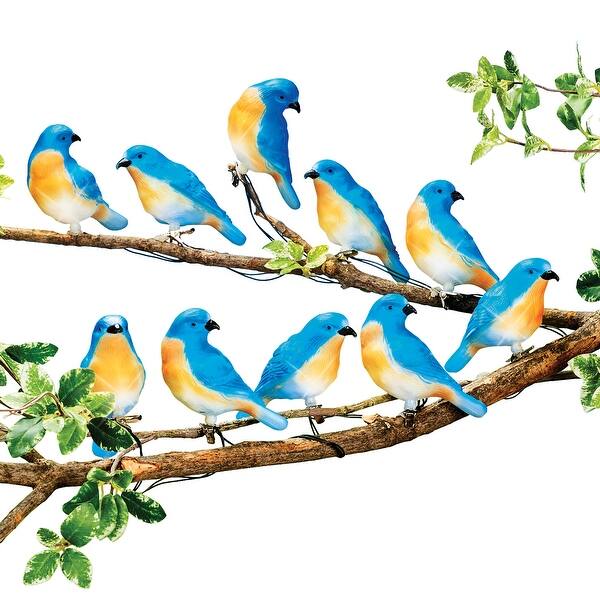 Hand-Painted Solar Bluebird String Lights - Set of 10 - 11.000 x 7.300 ...