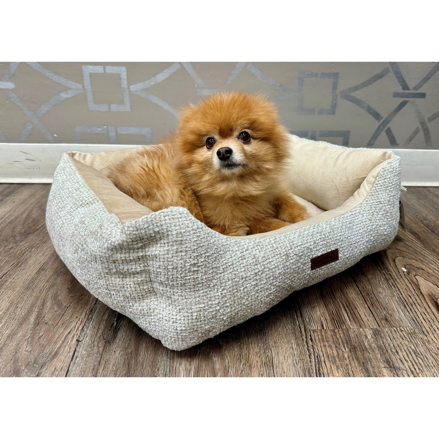 smiley dog bed
