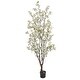 Potted Cherry Blossom Tree 5.5' - Bed Bath & Beyond - 32923119