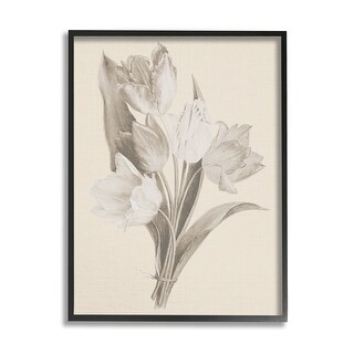 Stupell Antique Tulips Drawing Framed Giclee Art Design by Lil' Rue ...