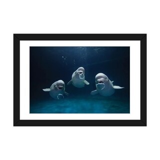 iCanvas "Beluga Whale Trio Blowing Toroidal Bubble Rings, Play Behavior ...