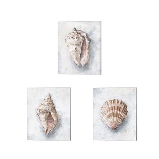 Ethan Harper 'White Shell Study' Canvas Art (Set of 3) - Bed Bath ...