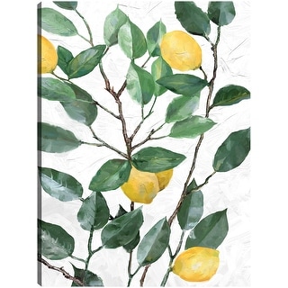 Lemon Tree By Studio Arts Canvas Art Print - Bed Bath & Beyond - 38867713