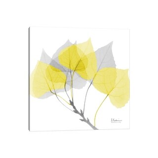 iCanvas "Aspen YG" by Albert Koetsier Canvas Print - Bed Bath & Beyond ...