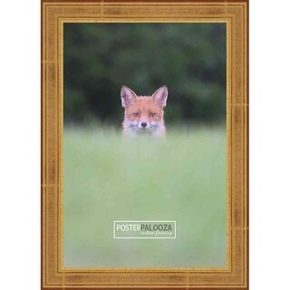 3x4 Traditional Gold Complete Wood Picture Frame with UV Acrylic, Foam ...