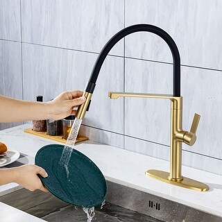 Two Functional Pull Out Single Level Lead Faucet Sprayer - Bed Bath ...