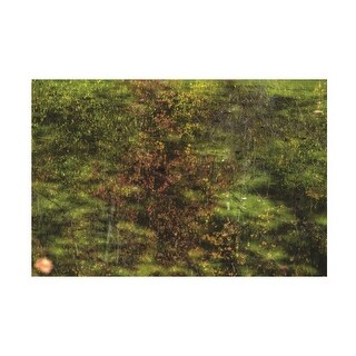 Kurt Shaffer Photographs 'Reflection Of Autumn Abstract' Canvas Art ...