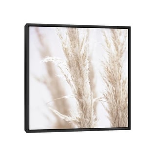 iCanvas "Pampas Reed I Square" by Monika Strigel Framed Canvas Print ...