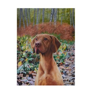 Steve Crockett 'Pet Portrait Of Merlin The Hungarian Vizsla' Canvas Art ...