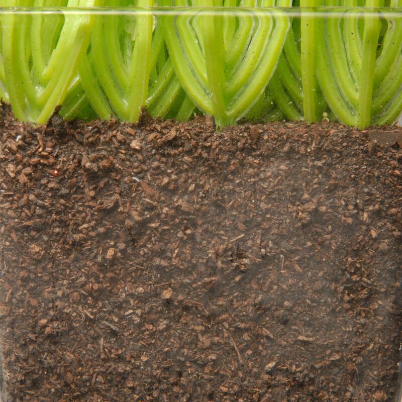 National Tree Company 'Family' Printed Square Glass Pot with Artificial ...