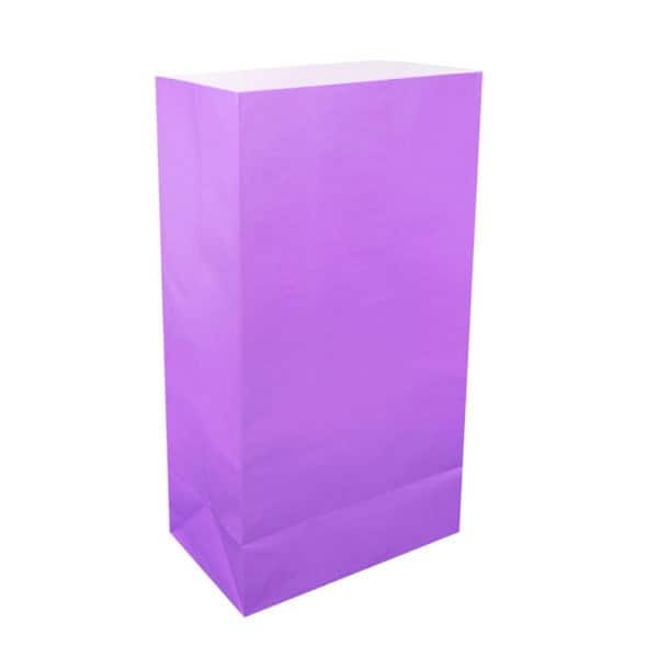Pack of 100 Flame Resistant Traditional Purple Relay for Life Luminaria ...
