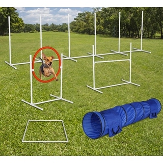 Dog Agility Training Equipment Set - Bed Bath & Beyond - 40142170