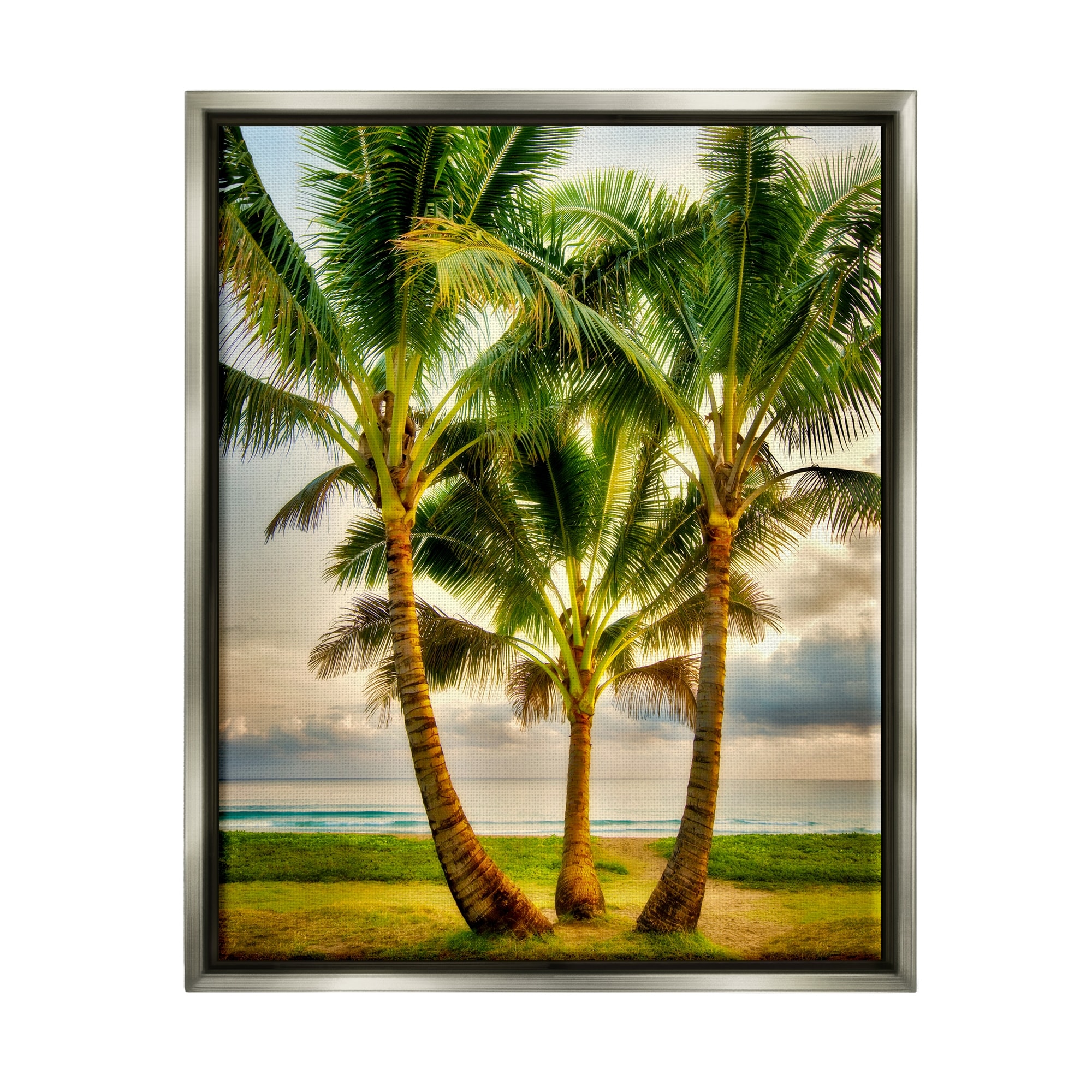 palmtree frame