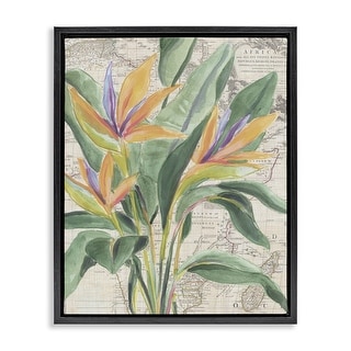 Stupell Bird of Paradise over Map Framed Floater Canvas Wall Art Design ...