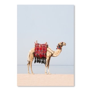 Americanflat - Desert Camel by Sisi And Seb - 16"x20" Poster Art Print ...