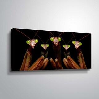Praying Mantis Family portrait Gallery Wrapped Canvas - Bed Bath ...