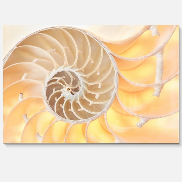 Golden Nautilus Shell Pattern - Abstract Art Glossy Metal Wall Art ...