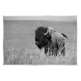 Stupell Bison Grazing in Field Wall Plaque Art Steve Toole - Bed Bath ...