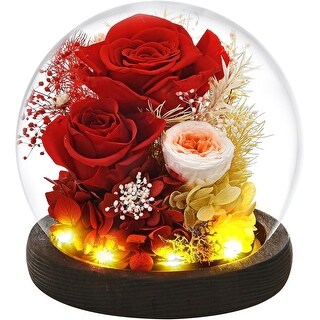Red Preserved Rose Flowers in Glass Dome for Wome, Mom, Grandma - Bed ...
