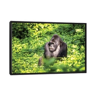 iCanvas "Silverback Mountain Gorilla" by Jane Rix Framed - Bed Bath ...