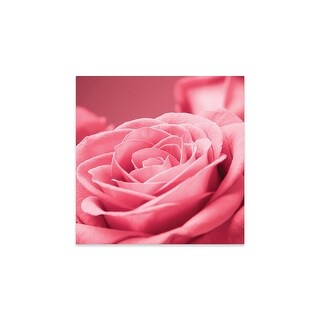 Pink Rose I Print On Acrylic Glass by PhotoINC Studio - Bed Bath ...