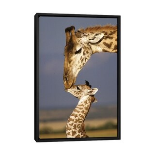 iCanvas "Giraffe, Africa, Kenya, Masai Mara." by Marilyn Parver Framed ...