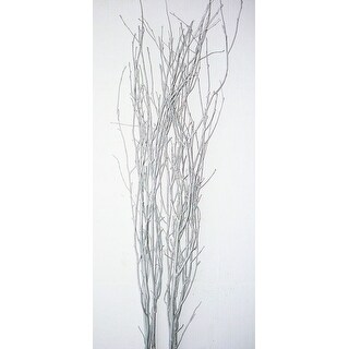 Metallic Silver Painted Birch Branches 3-4 feet tall about 5 stems per ...