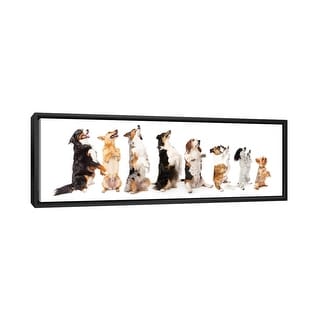 iCanvas "Row Of Dogs Sitting Up To Side Begging" by Susan Schmitz ...
