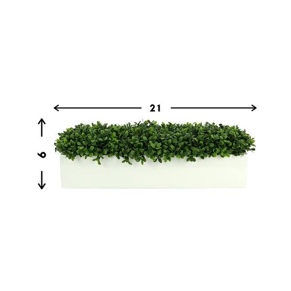 UV Rated Outdoor Boxwoods Arranged in a Rectangular Planter - Bed Bath ...