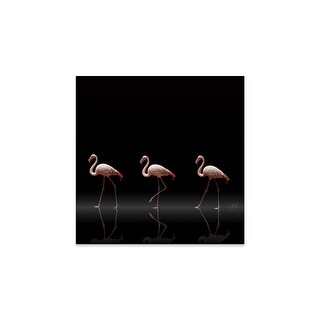 Flamingo Parade Print On Acrylic Glass by Kathrin Federer - Bed Bath ...