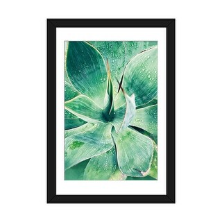 iCanvas "Green Tropical Succulent I" by Irena Orlov - Bed Bath & Beyond ...