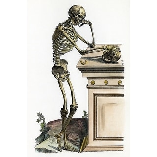 Vesalius Skeleton 1543. /Nwoodcut From The First Book Of Andreas ...