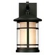 Westinghouse Albright One-Light Outdoor Medium Wall Lantern, Textured ...