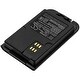 Battery for Inmarsat Isatphone 2 136081 SAS2 VKB 56426 702 098 ...
