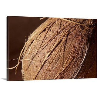 "Coconut" Canvas Wall Art - Bed Bath & Beyond - 16284398