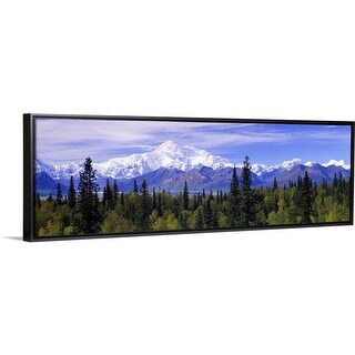"Alaska Range Denali National Park AK" Black Float Frame Canvas Art ...