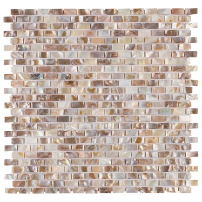 Merola Tile Conchella Square Natural 12" x 12" Natural Shell Wall Tile ...