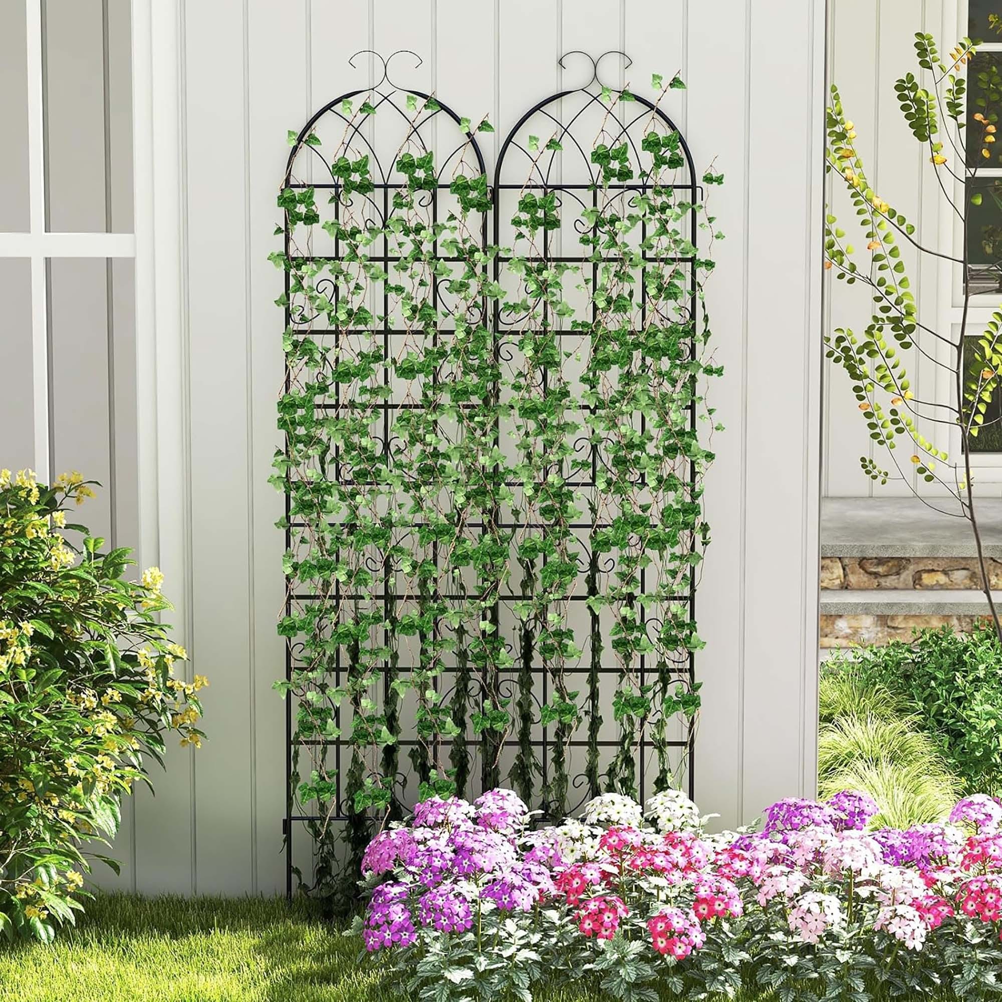 Trellis - Bed Bath & Beyond